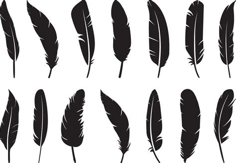 Feather Silhouette Vector Art Icons And Graphics For Free Download