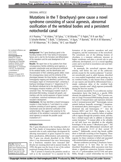 Pdf Mutations In The T Brachyury Gene Cause A Novel Syndrome Consisting Of Sacral Agenesis