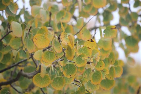 Julia Wigger Juliarwigger • Instagram Photos And Videos