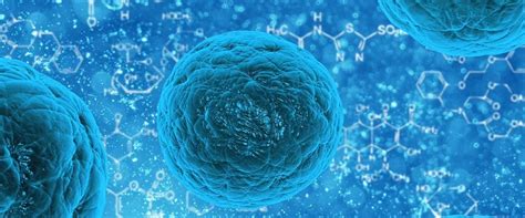 Transplant De Celule Stem Tot Ce Trebuie Sa Stii Despre Tratament