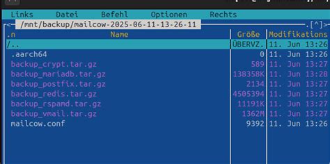 Borg Backup Problem Mailcow Community