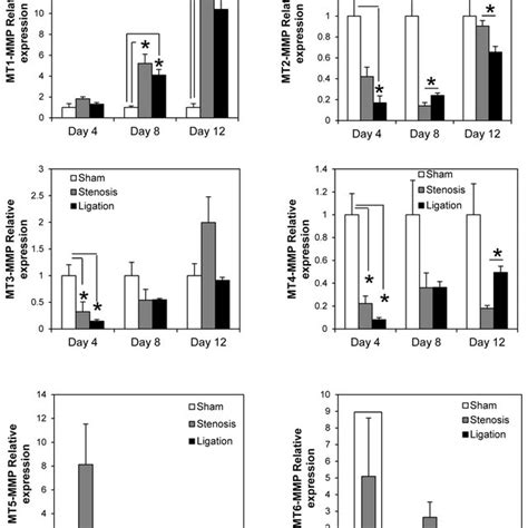 Structure Of Mmp14 And Comparison With Other Mmp Genes Representing
