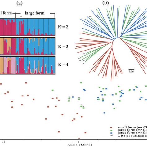 Individual Clustering Based On The Analysis Of Microsatellite Data