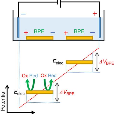 Pdf Electropolymerization On Wireless Electrodes Towards Conducting