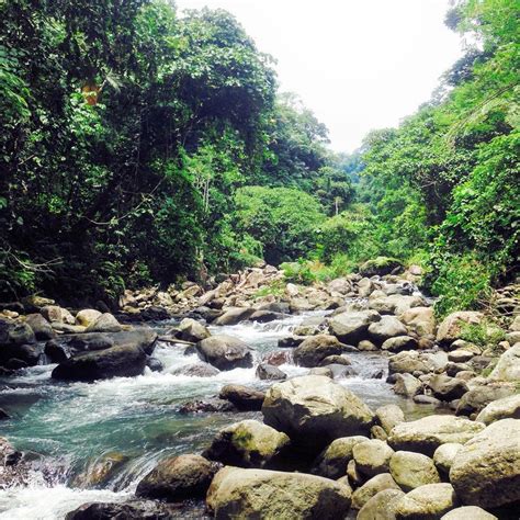 Ultimate Guide To Majayjay Falls Or Taytay Falls In Laguna 2025