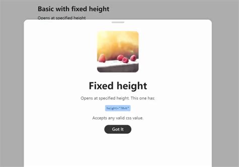 Bottom Sheet Nextgen Javascript