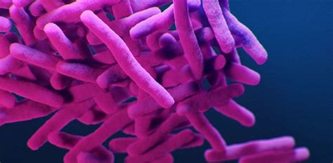 Reduce Pollution To Combat ‘superbugs And Other Anti Microbial