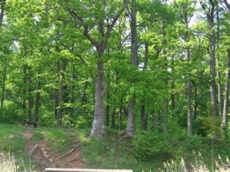 Piloru Un Pahatnieku Ozolu Audzes Atputasbazeslv