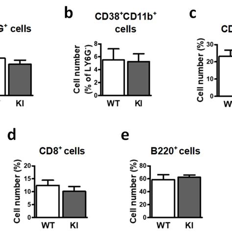 Flow Cytometry Analysis Shows Similar Spleen Cell Populations In Wt And