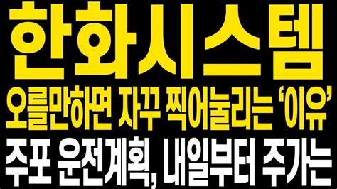 한화시스템 주가전망 현 주가 상황과 전망에 대해 명확하게 보셨으면 합니다 당장의 분위기에 휘둘리지 마시고 함께 중심잡고
