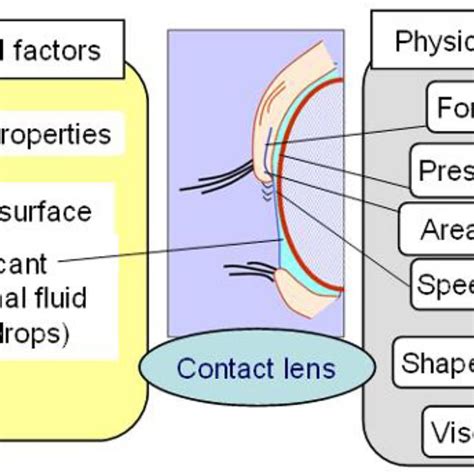 Effect Of Sliding Speed On Friction Coefficient For Contact Lenses In