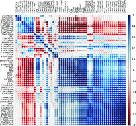 Correlation Analysis Has Shown That Hub Genes I E Nodes With Degree Download Scientific