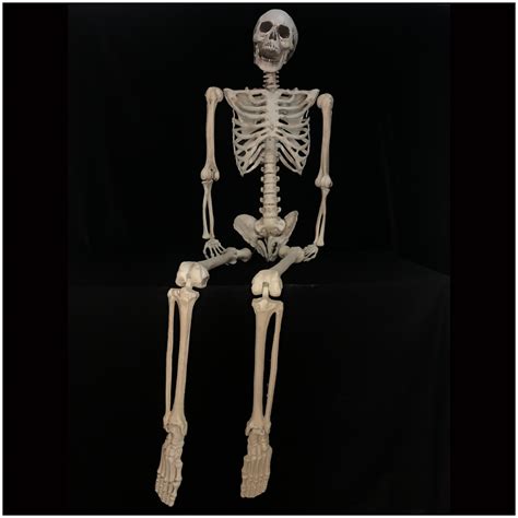 Life Size Skeleton Spirit Halloween At Diana Longoria Blog
