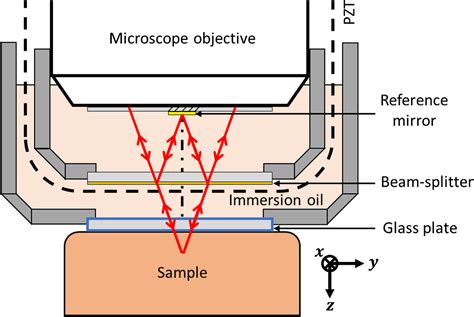 Mirau Based Line Field Confocal Optical Coherence Tomography For Three