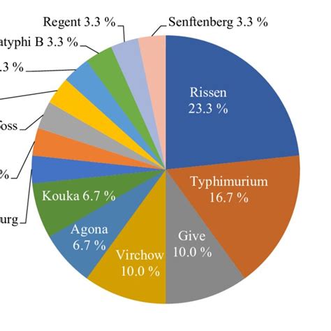 Serotypes Of Salmonella Isolated From Nham Collected From The Khon