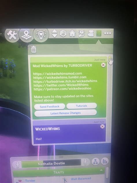 Wicked Whims “sex” Tab Not Showing Up Help R Simswickedwhims