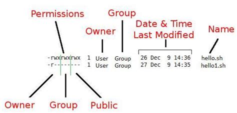 brian ogada on linkedin shellpermissions learninpublic softwareengineering alxse