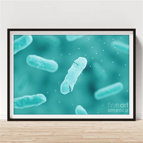 Antibiotics Attacking Bacteria Poster By Artur Plawgo Science Photo