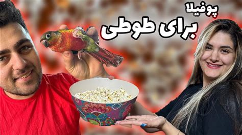 ولاگ پوفیلا برای طوطی ها با نگار نکات مهم تغذیه Youtube