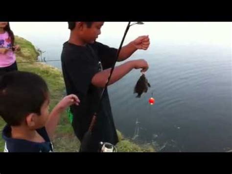 Pond Park In Murrieta Youtube