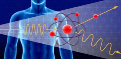 Cells Exposed To Radiation At Lachlan Legge Blog