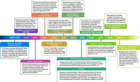 Future Directions For Vhh Antibody Research And Development