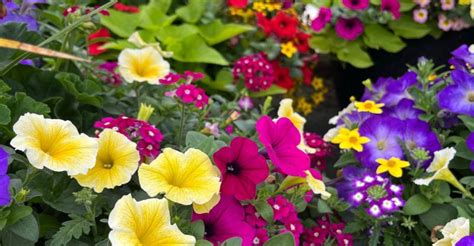 Turn Your Passion For Plants Into A Profitable Business Complete