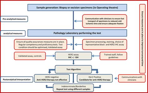 Updated Uk Recommendations For Her2 Assessment In Breast Cancer Journal Of Clinical Pathology