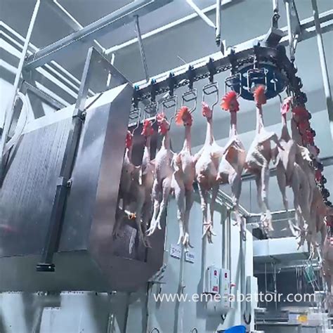 Eme Supplier Abattoir Machinery Chicken Carcass Washing Cleaning