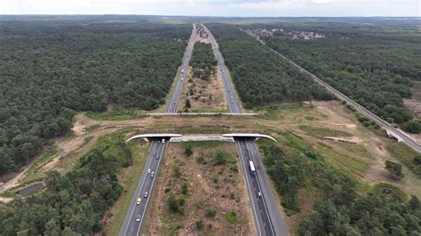 Wildlife Crossing Ecoduct Over Freeway Dutch Stock Footage Sbv