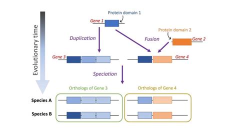 Clues From Ancient Proteins Reveal How Life Actually Began Science Featured