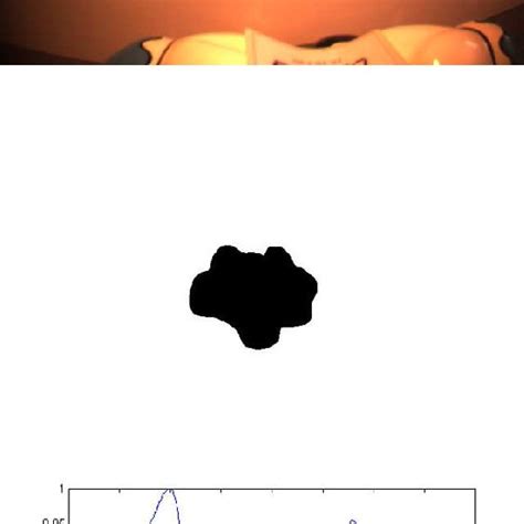 Original Image Top Silhouette Image After Background Substraction