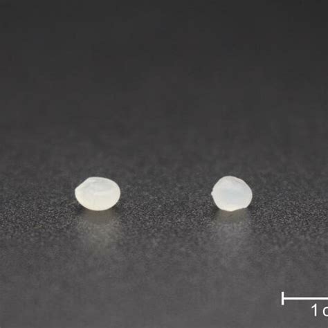 Simplified Chemical Equation Of The Rop Download Scientific Diagram