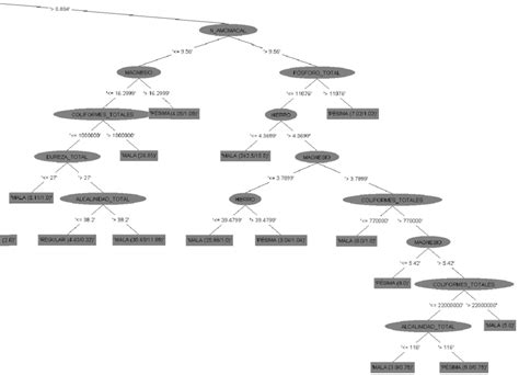 Left Trimming Classifier Tree Download Scientific Diagram