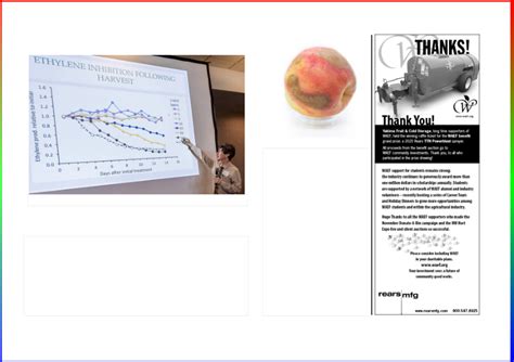 Wkhtmltopdf With Inline Svg Stack Overflow