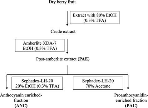 Flowchart Showing Extraction And Anthocyanin And Proanthocyanin