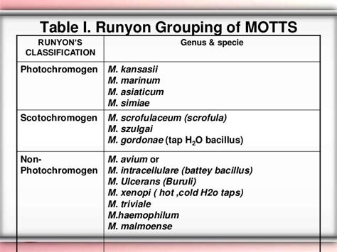 Corynebacterium 1
