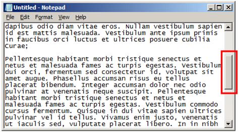 C Builder Programming Windows Controls