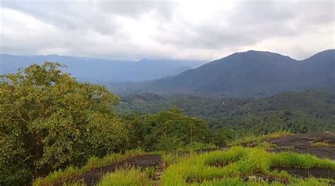 Drisya Tv Malayalam News