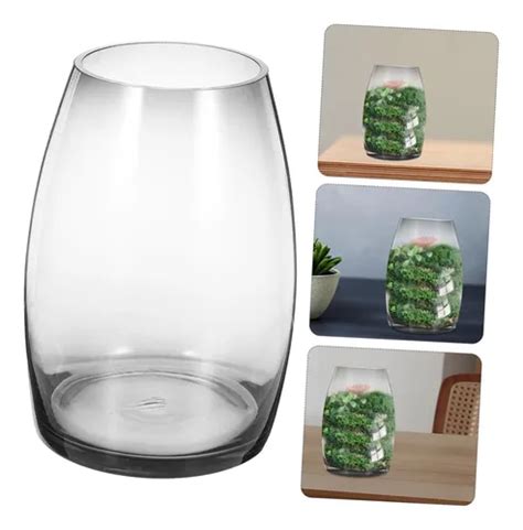 Florero De Vidrio Micro Paisaje Tanque Betta De Mesa Envío Gratis