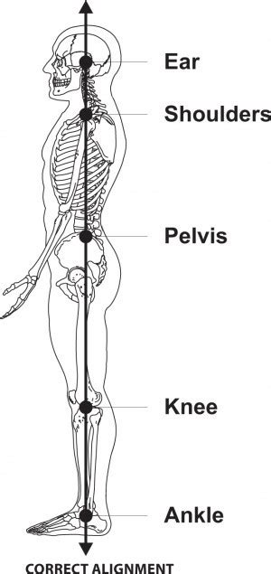 Correct Posture Diagram Occupational Therapy Body Postures During