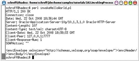 Run Like Hell The Lost Collaxa Bpel Tutorials 102invokingprocesses