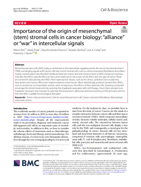Pdf Importance Of The Origin Of Mesenchymal Stem Stromal Cells In