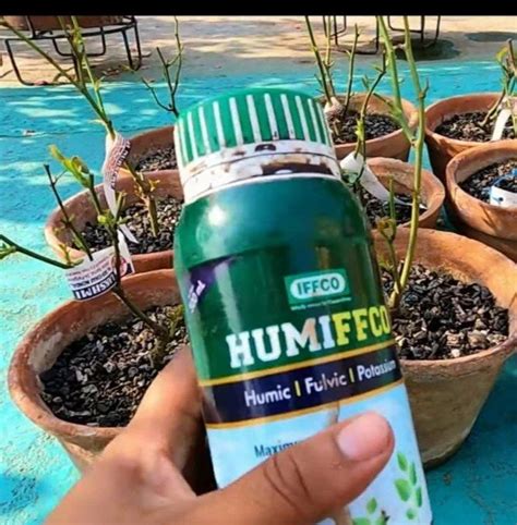 Humic Fulvic Potassium Liquid At Best Price In Surat Id 2857128691462