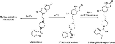 Benzisothiazole Reduction And Thiol Methylation Of Ziprasidone By Aox