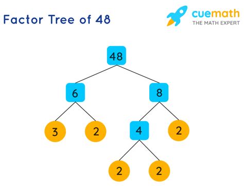 Factor Trees Gcse Maths Steps Examples And Worksheet Worksheets