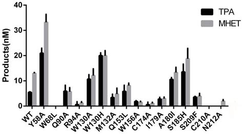 Pet Hydrolase Mutant And Its Application Eureka Patsnap