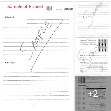 What Is E Sheet Amp On Screen Marking In Fbise Annual Exam Fusionstories Riset