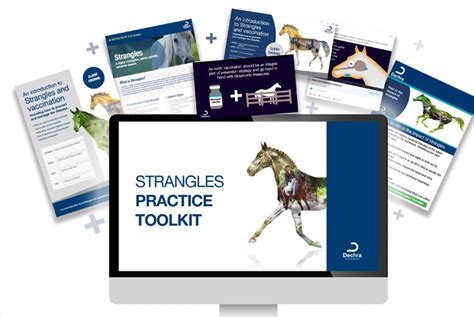 New Strangles Toolkit For Veterinary Practices Vetsurgeon News