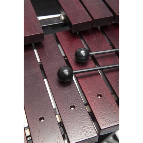 Stagg 37 Key Desktop Xylophone Set With Stand Jacaranda Music